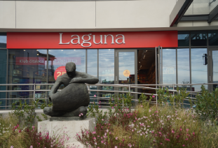 Laguna - Klubovi čitalaca - Knjige o kojima se priča